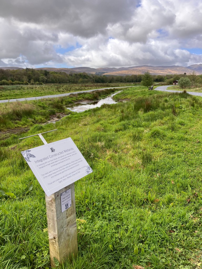 Ballygarry Estate - TheKerryMam